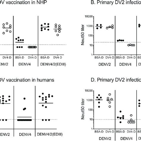 Dengue Virus Structure A Dv Virions Are Enveloped Containing Three Download Scientific