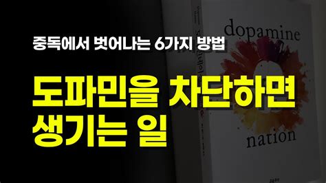 도파민 중독 쉽게 조절하는 방법 책추천｜동기부여｜도파민네이션애나 렘키 Youtube