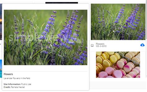 navigating the dam interface simpleview knowledgebase