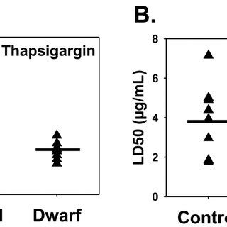Skin Derived Fibroblasts From Naked Mole Rats Are Resistant To Many