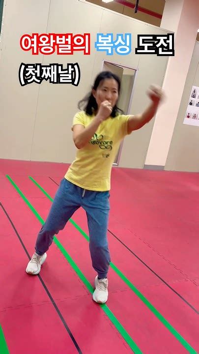 여왕벌의 복싱도전 1 알고리즘 갓생 도전 복싱 건강관리 여왕 열정 최고 Youtube