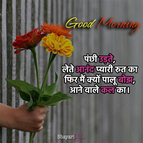 241 Good Morning Shayari In Hindi 🌞 गुड मॉर्निंग शायरी