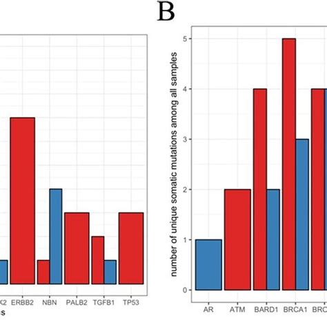 Nature Of Synonymous And Nonsynonymous Somatic Mutations In Women With Download Scientific