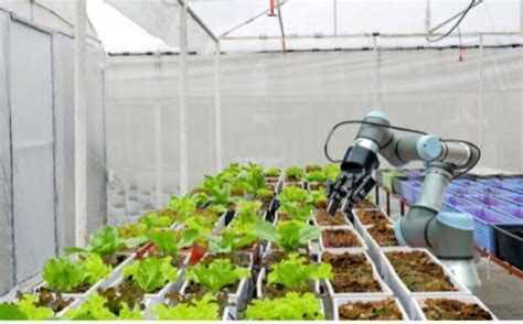 How Ai Can Help Africa Grow Climate Resistant Crops