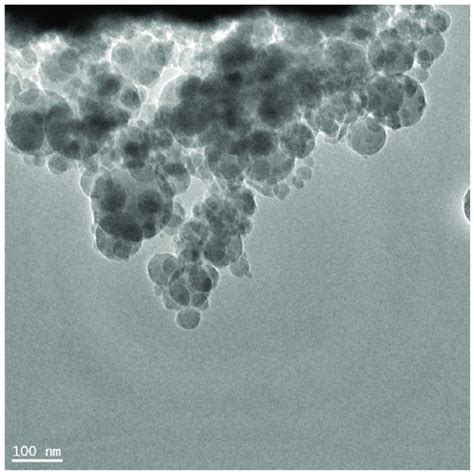 Sem Micrograph Crack Bridging Carried Out By Cnts In Opc Reproduced
