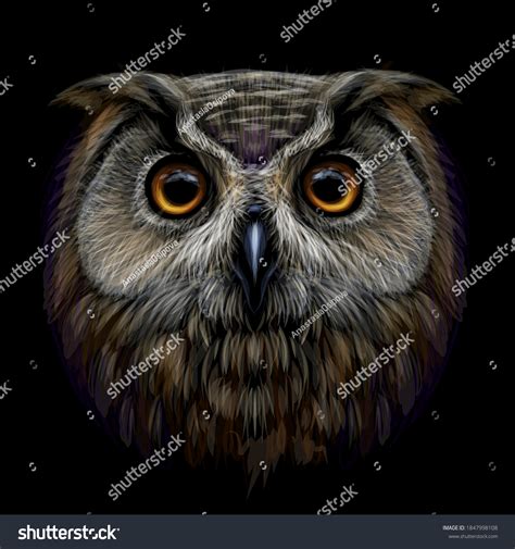 Owl Portrait Over 6913 Royalty Free Licensable Stock Vectors And Vector
