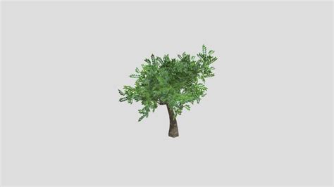 Leaf Tree 3d Models Sketchfab