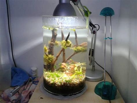 LIST Low Tech Mini Nano Pico Planted Tanks 50