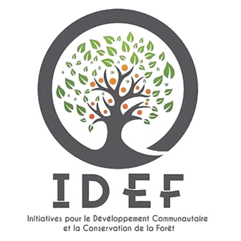 Accueil Plateforme Ivoirienne Pour Le Cacao Durable