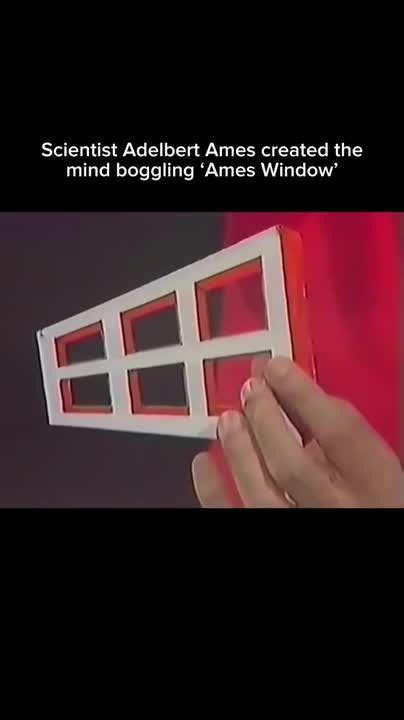 Streetartglobe On Linkedin Deane Hutton From The ‘curiosity Show Shows Us The Mind Boggling ‘ames…