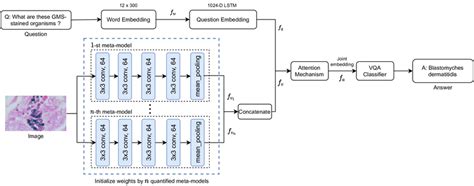 Our Vqa Framework Is Designed To Integrate Robust Image Features