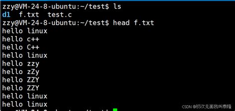 Linux常见指令 Csdn博客