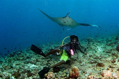 Premium Photo Scuba Diver And Manta In The Blue Ocean Background Portrait
