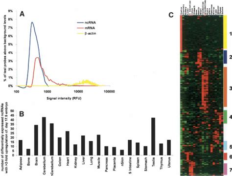 Tissue Profiling Of Putative NcRNAs RNA Was Isolated From 20 Mainly Download Scientific