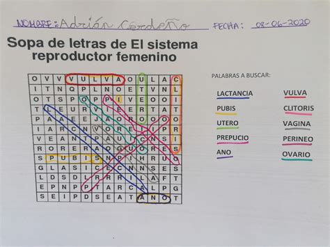Sopa De Letras Del Aparato Reproductor Femenino Pdmrea Images And Photos Finder