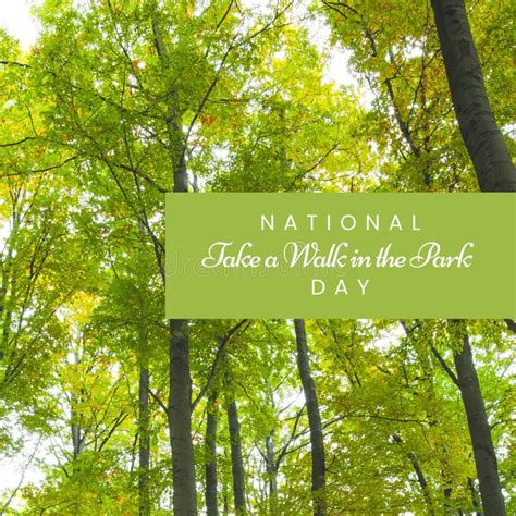 Image Of National Take A Walk In The Park Day Text Over Trees Stock