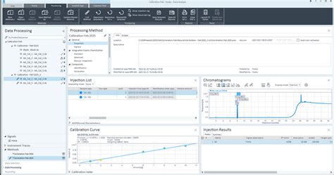 Calibration Curve Correlation Index 2 Points Are Not Valid And Reinjected The Concerned Levels