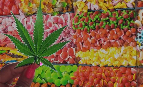 Thc Halloween Candy Recipes Future Harvest Blog