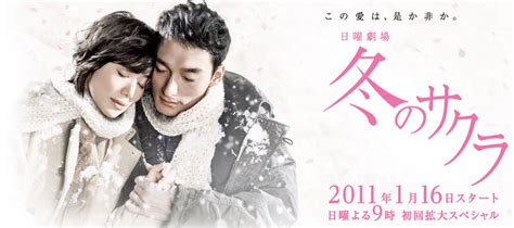 Fuyu No Sakura DramaWiki