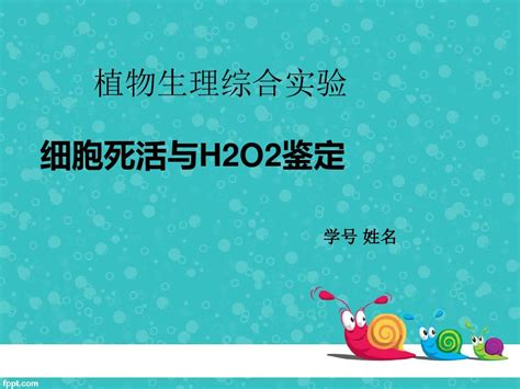 植物生理学综合实验 word文档在线阅读与下载 文档网
