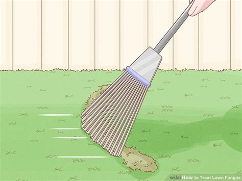 3 Ways To Treat Lawn Fungus Wikihow