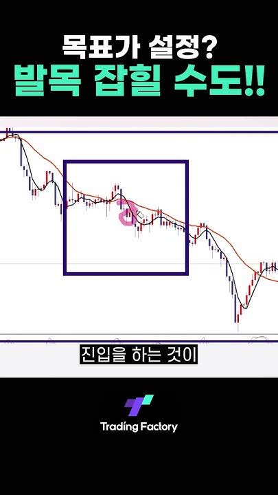 트레이딩할때 목표를 잡으면 안되는 이유 트레이딩 비트코인 차트분석 주식 투자 손절 Youtube