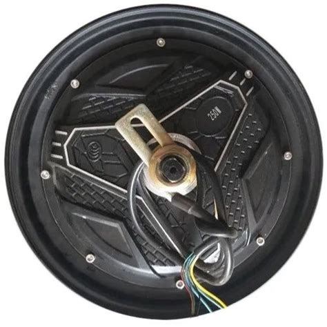 Bldc Hub Motor At 6800 00 Inr In New Delhi Delhi Star Blue Trading Co