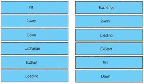 Cisco 300 410 Practice Test Examgo