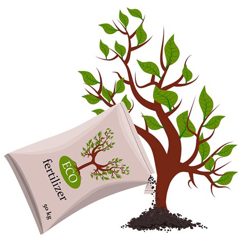 Nurture Your Trees To Thrive With Deep Root Fertilization Complete