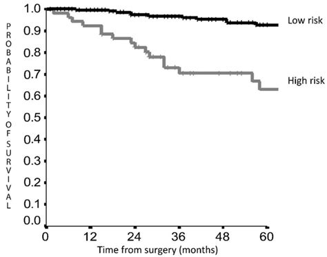 Disease Free Survival According To Score Risk Classes Download Scientific Diagram