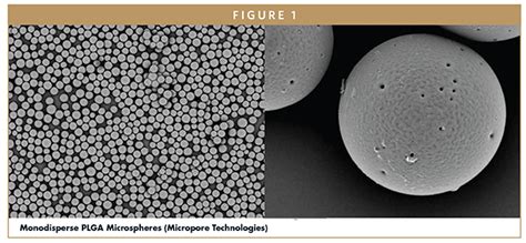 Emulsification Technology Microspheres For Sustained Release