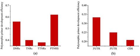 development efficiency of polymorphic ssr primers a development