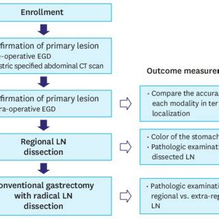 Flow Chart Of The Study Protocol EGD Esophagogastroduodenoscopy CT