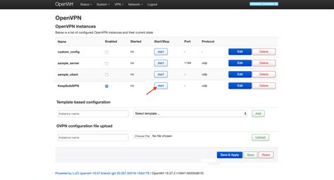如何在路由器上配置 Openvpn 客户端——vpn Unlimited
