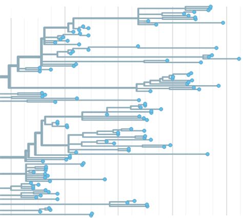 Tools — Ceirr Computational Modeling Core