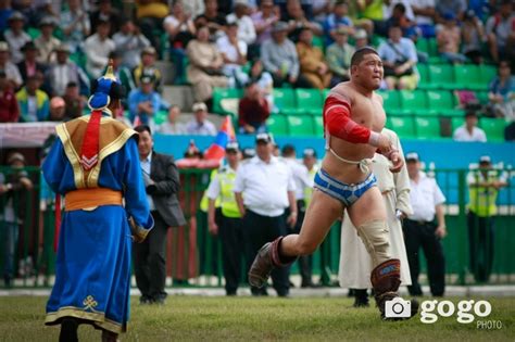 Улсын арслан Р Пүрэвдагва чансааг тэргүүлэв