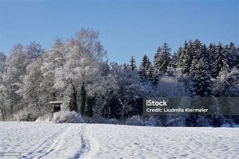 눈을 뚫고 숲으로 들어가는 길 숲으로 이어지는 눈 덮인 길을 걷습니다 겨울의 바이에른 눈 속에서 겨울에 바이에른 들판과 숲 0명에 대한 스톡 사진 및 기타 이미지 Istock