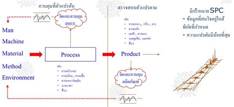 หลักสูตร Msa Attribute Gage Randr การวิเคราะห์ระบบการวัด สำหรับข้อมูลแบบ