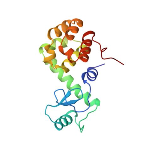 RCSB PDB L PROTEIN FLEXIBILITY AND ADAPTABILITY SEEN IN CRYSTAL FORMS OF T LYSOZYME