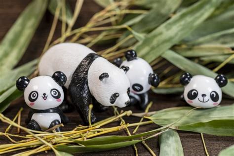 Pandasgui The Ultimate Secret To Effortless Data Analysis Towards Data Science