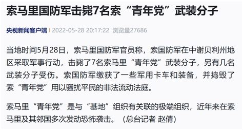 索马里国防军击毙7名索“青年党”武装分子！组织贝利邻国