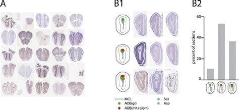 Figure 1 From A Deep Learning Based Method For Large Scale Classification Registration And