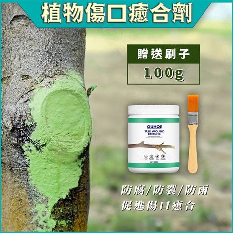 植物切口癒合劑🔥附刷子超方便🔥大樹傷口癒合劑 植物傷口保護劑 植物切口保護劑 嫁接切口修復 樹幹塗補劑 盆景樹皮塗膜劑 蝦皮購物