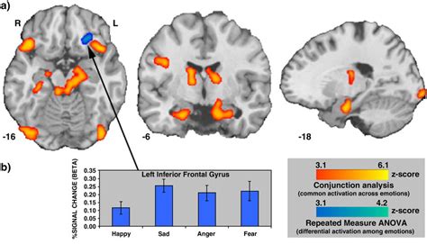 Block Analysis Results A Group Analysis N 17 Showing Average Download Scientific Diagram Block Analysis Results A Group Analysis N 17 Showing Average Download Scientific Diagram