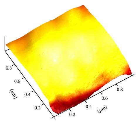 Atomic Force Micrographs Of The Oxidized Samples Under Air Atmosphere