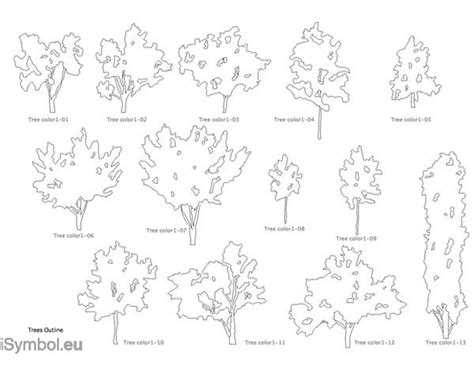 Tree Drawing Outline Simplifying Your Tree Illustrations With Clean Lines