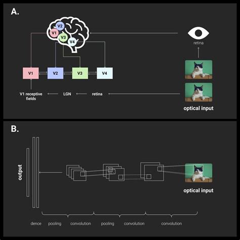 karyna naminas on linkedin ai machinelearning computervision labelyourdata