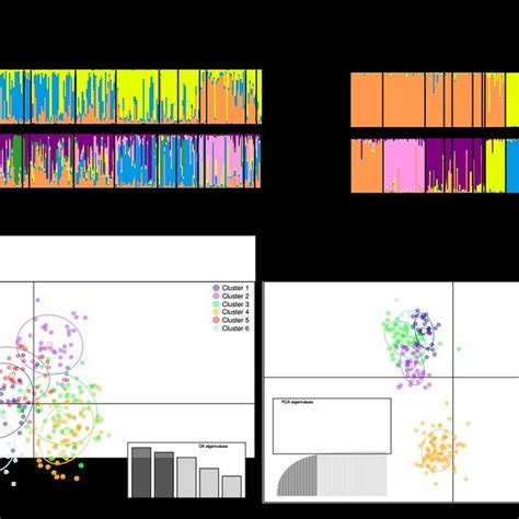 A Bayesian Individual Clustering Performed With Structure For Each