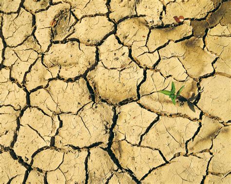 Cambio climático no tomar medidas no es una opción Swiss Re