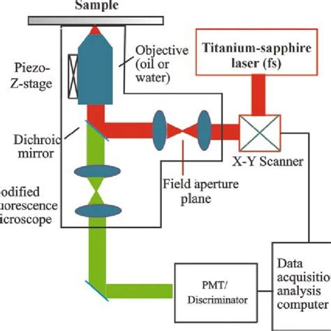A Two Photon Fluorescence Microscope Using A Femtosecond Tis Laser